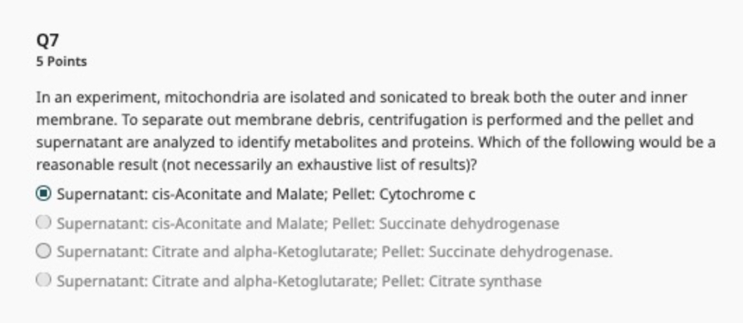 Solved Q75 ﻿PointsIn an experiment, mitochondria are | Chegg.com