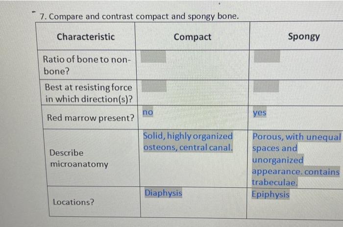 Solved 7. Compare and contrast compact and spongy bone. | Chegg.com