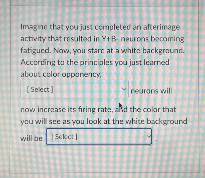 Solved Imagine that you just completed an afterimage | Chegg.com