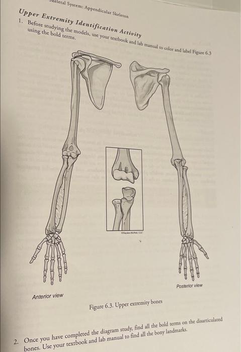 etal System: Appendicular Skeleton Upper Extremity | Chegg.com