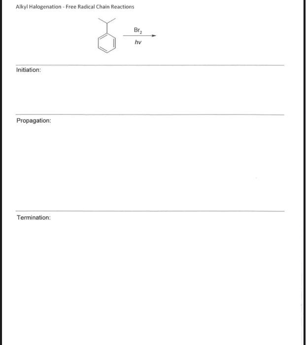 Solved Alkyl Halogenation - Free Radical Chain Reactions | Chegg.com