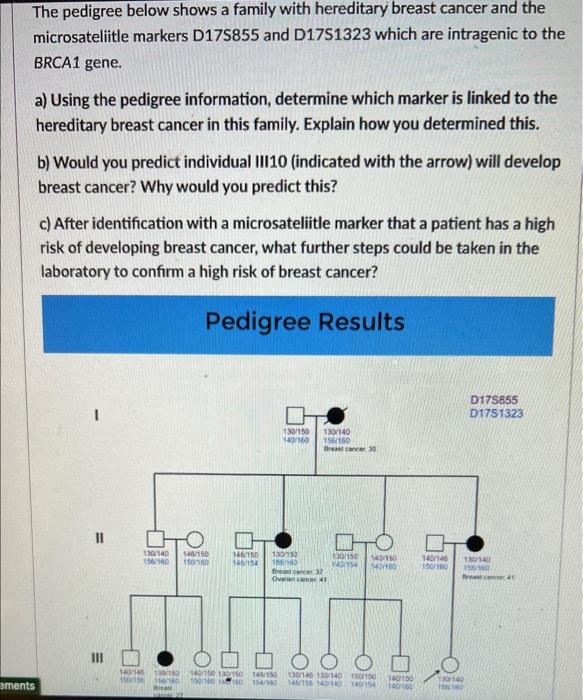 Solved A protein truncation test was performed on a patent | Chegg.com