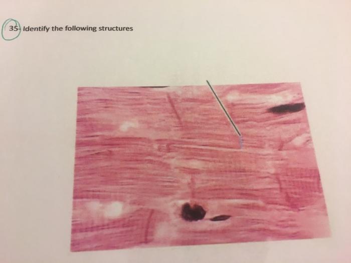 Solved 35- Identify the following structures | Chegg.com