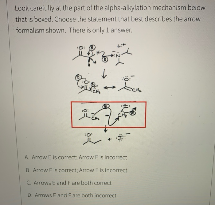 Solved Look carefully at the part of the alpha-alkylation | Chegg.com