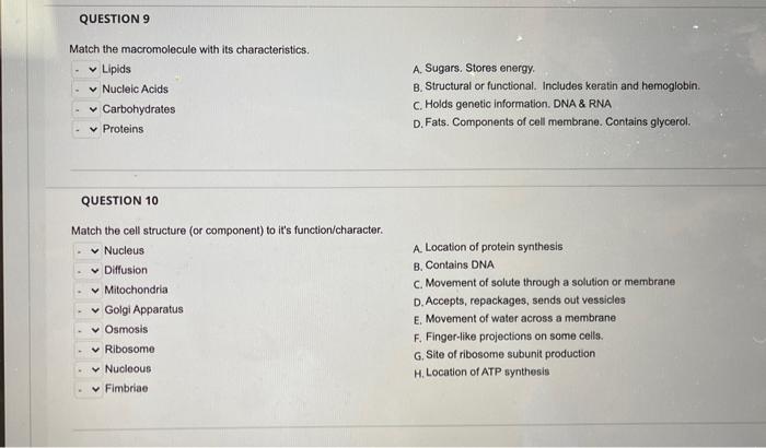 Solved QUESTION 9 Match the macromolecule with its | Chegg.com