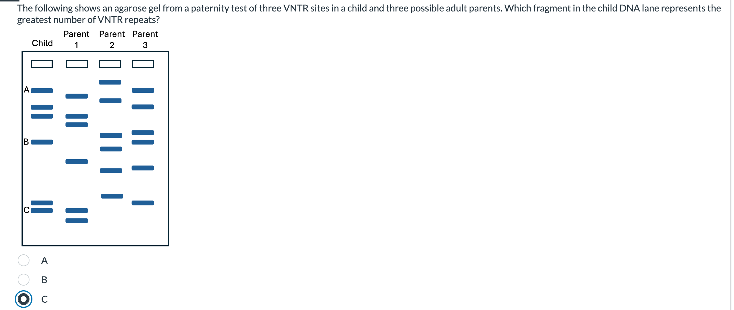 The following shows an agarose gel from a paternity | Chegg.com