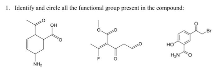 Solved 1. Identify and circle all the functional group | Chegg.com