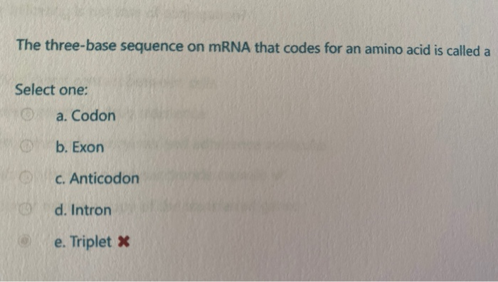 Solved The three-base sequence on mRNA that codes for an | Chegg.com