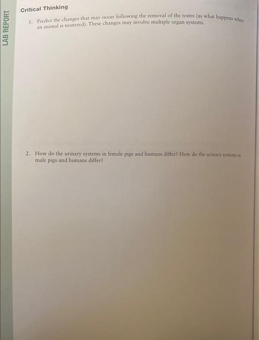 Solved Critical Thinking LAB REPORT 1.Predict the changes | Chegg.com