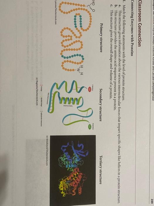 Solved 2. The structure of the enzyme lactase is shown. a. | Chegg.com