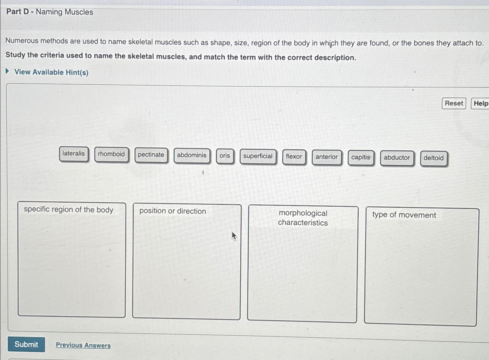 Solved Part D - ﻿Naming MusclesNumerous methods are used to | Chegg.com