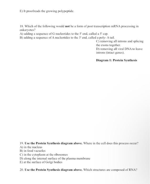 Solved Section A: Multiple Choice KU /25 Circle the answer | Chegg.com