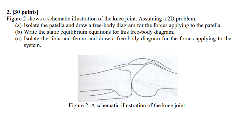 Solved [30 ﻿points]Figure 2 ﻿shows a schematic illustration | Chegg.com