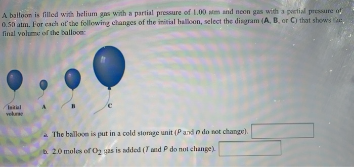 Solved A balloon is filled with helium gas with a partial | Chegg.com