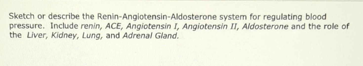 Solved Sketch or describe the Renin-Angiotensin-Aldosterone | Chegg.com