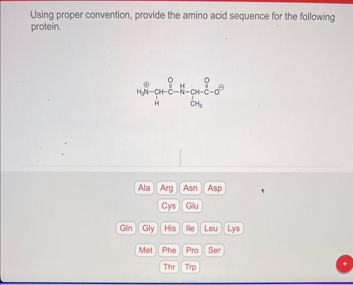 Solved Using proper convention, provide the amino acid | Chegg.com