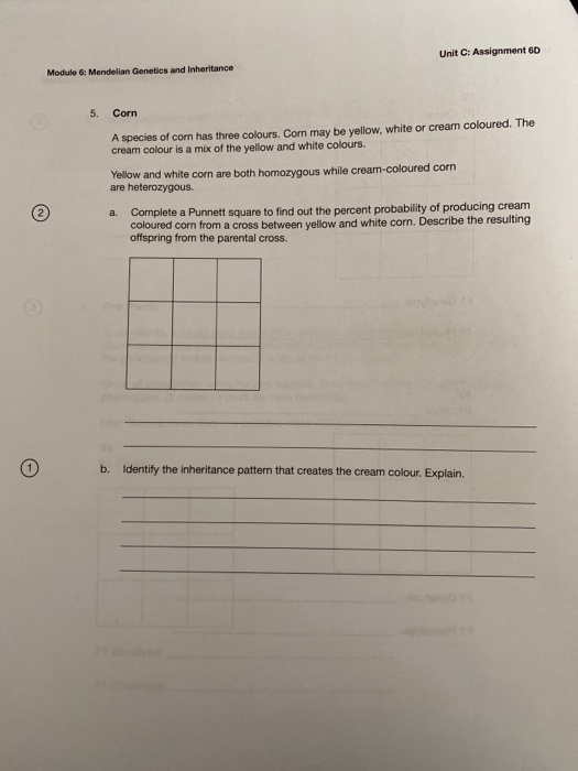 Solved Unit C: Assignment 6D Module 6: Mendelian Genetics | Chegg.com