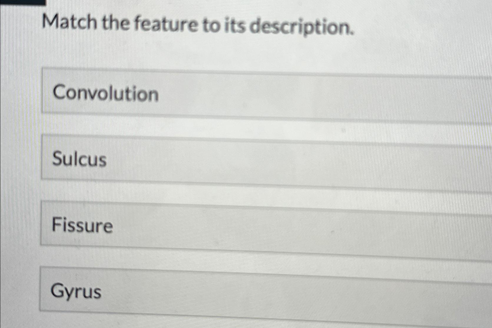 Solved Match the feature to its | Chegg.com