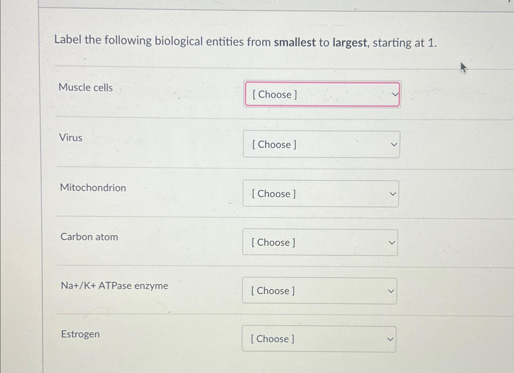 Solved Label the following biological entities from smallest | Chegg.com