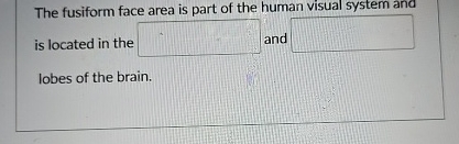 The fusiform face area is part of the human visual | Chegg.com