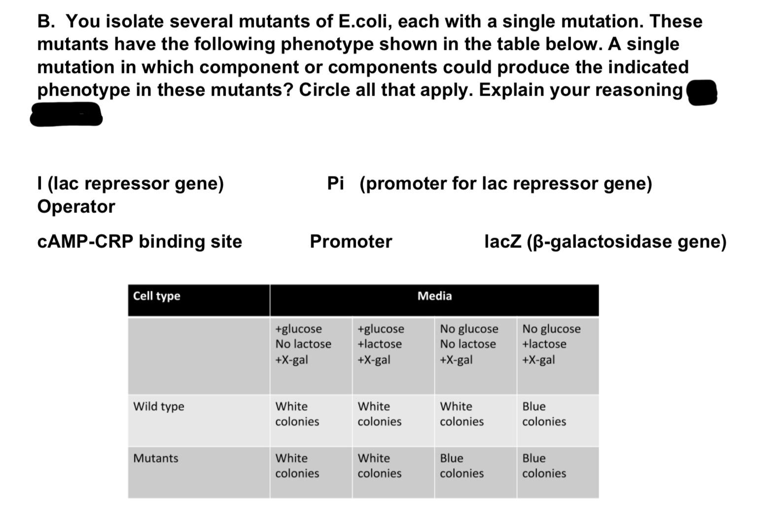 Solved B. ﻿You isolate several mutants of E.coli, each with | Chegg.com