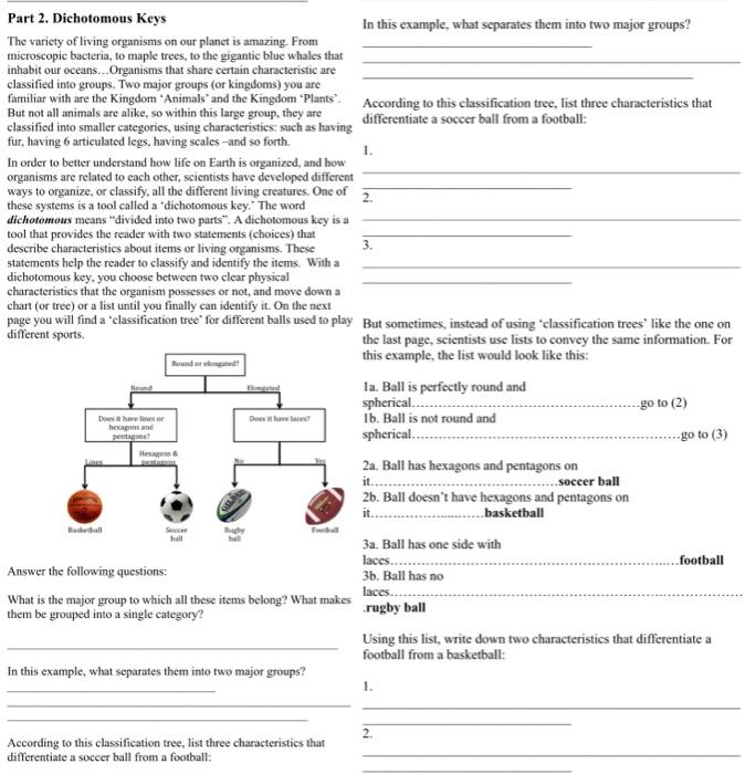 Part 2. Dichotomous Keys In this example, what | Chegg.com