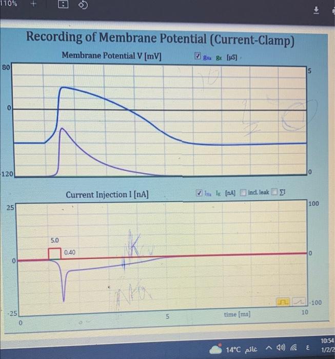 Solved Recording of Membrane Potential (Current-Clamp) | Chegg.com