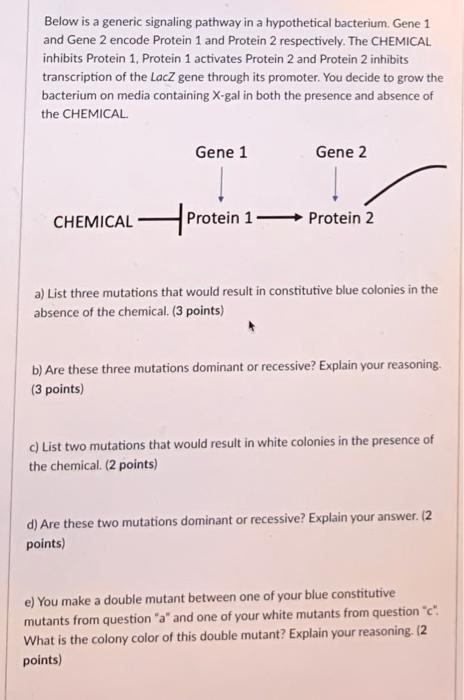 Solved Below is a generic signaling pathway in a | Chegg.com