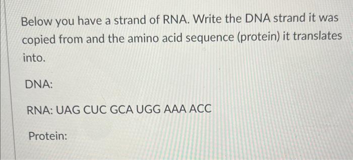 Solved Below you have a strand of RNA. Write the DNA strand | Chegg.com