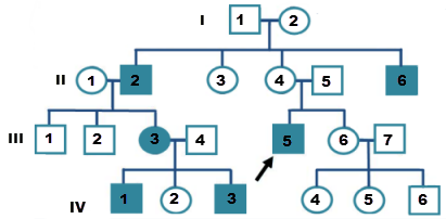 Solved Which of the following is a possible mechanism of | Chegg.com