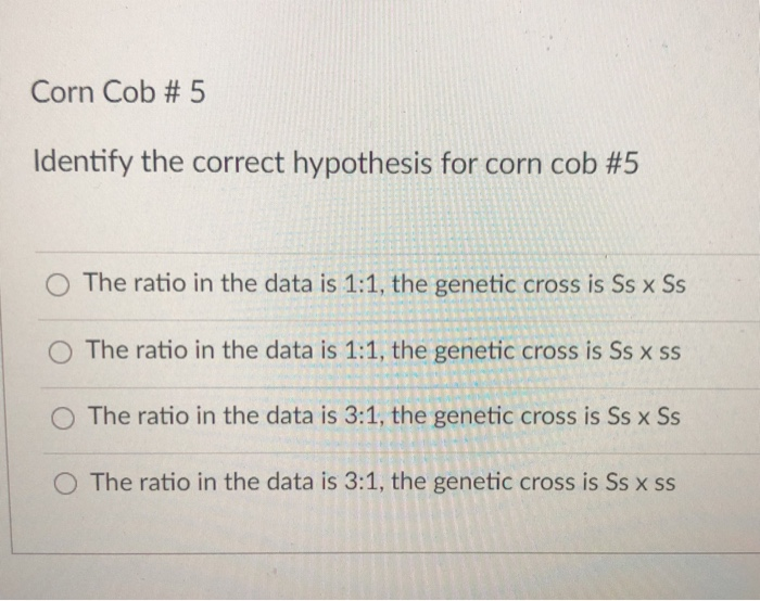 Solved Chi Square Analysis of Corn Cross #5 What ratio is | Chegg.com