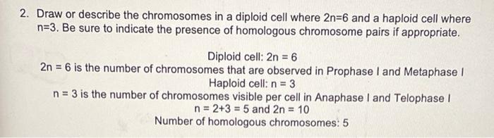 Solved 2. Draw or describe the chromosomes in a diploid cell | Chegg.com