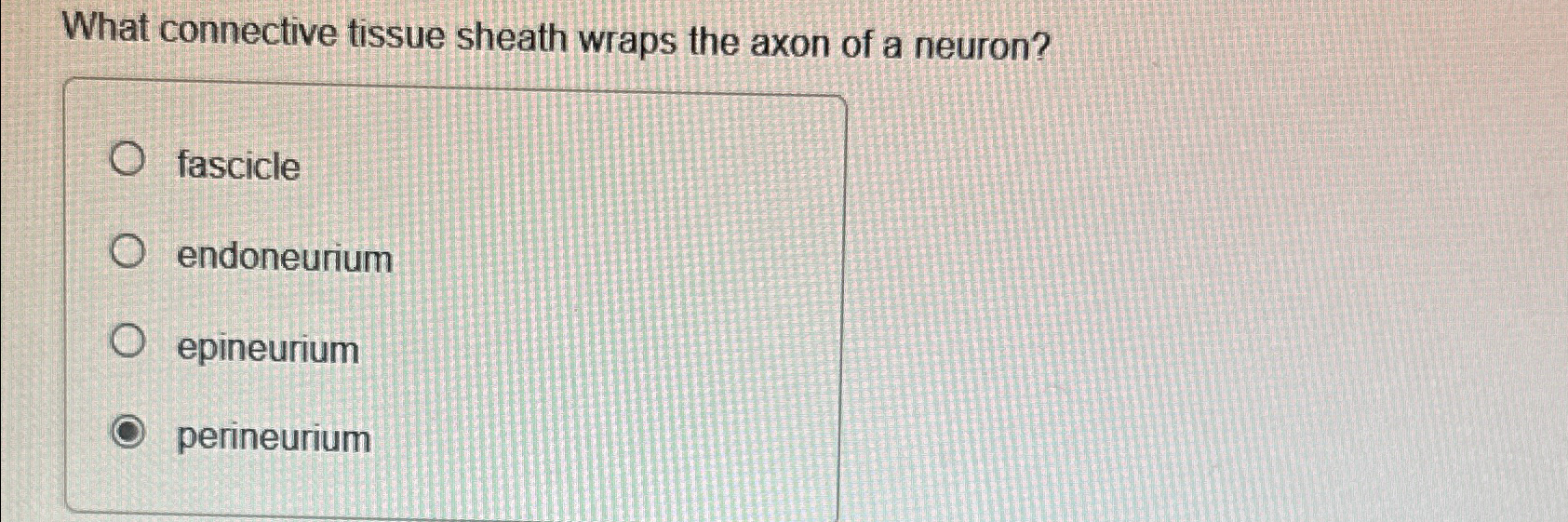 Solved What connective tissue sheath wraps the axon of a | Chegg.com