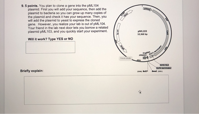 Solved 9. 5 points. You plan to clone a gene into the pML104 | Chegg.com