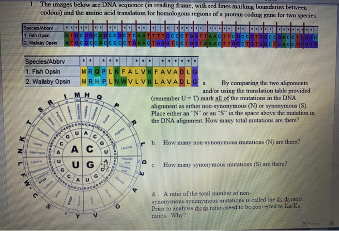 Solved 1. The images below are DNA sequence (in reading | Chegg.com