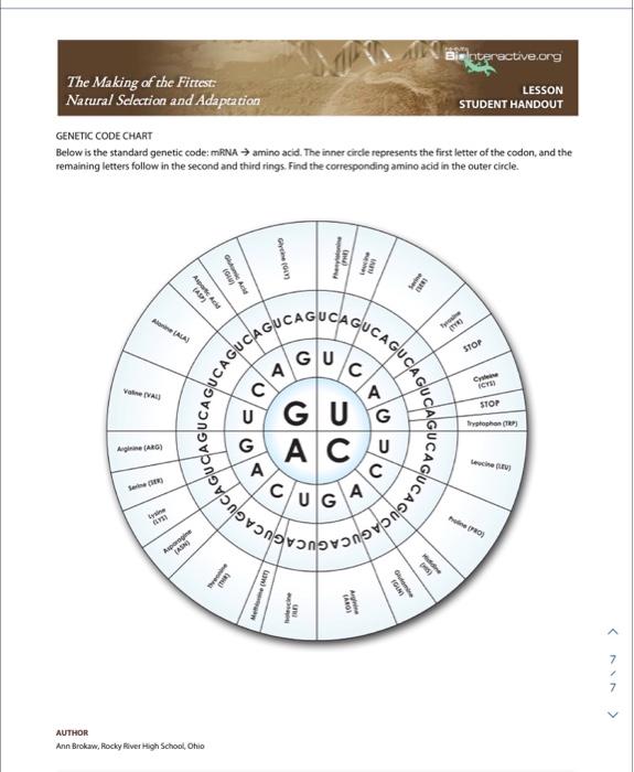 MOLECULAR GENETICS OF COLOR MUTATIONS IN ROCK POCKET | Chegg.com