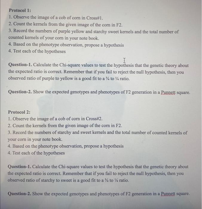 Solved Exercise 1 - The Monohybrid Cross When Mendel crossed | Chegg.com