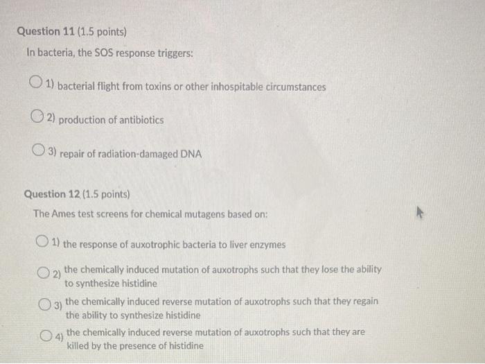 Solved In bacteria, the SOS response triggers: 1) bacterial | Chegg.com