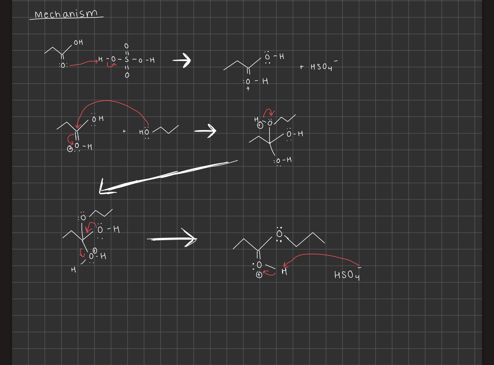 Draw out the mechanism for the Fischer esterification | Chegg.com
