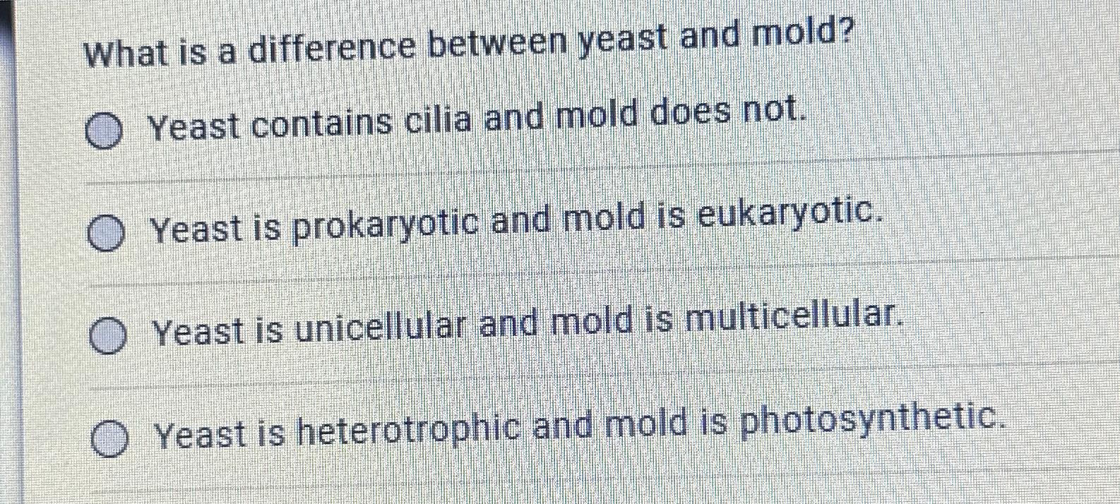 Solved What is a difference between yeast and mold?Yeast | Chegg.com