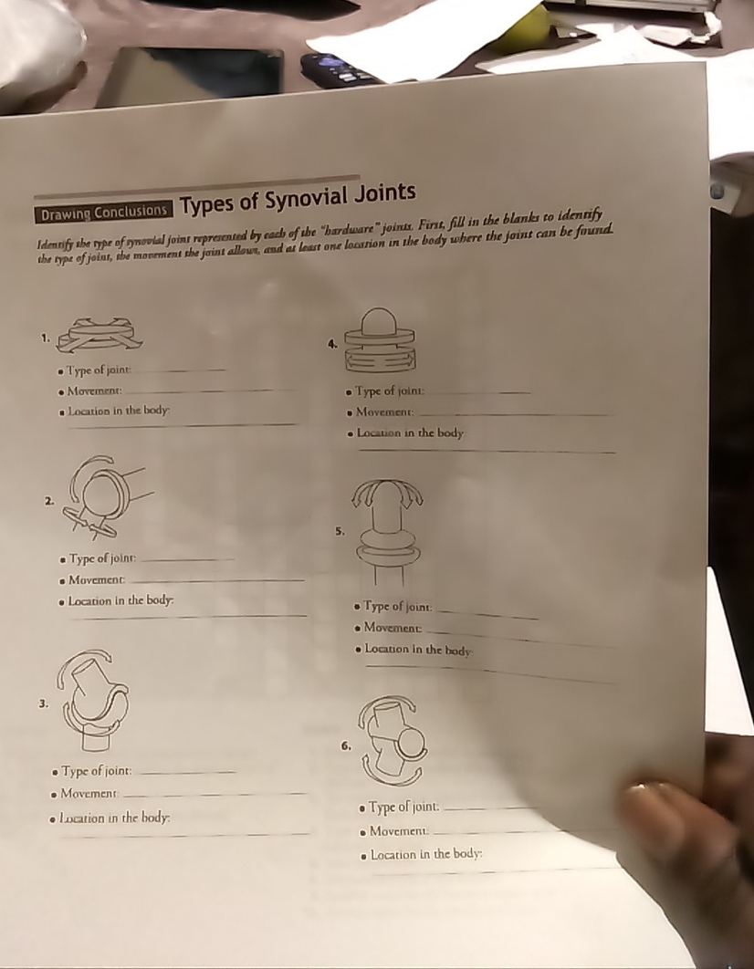 Solved Drawing Conclusions Types of Synovial Joints1.Type of | Chegg.com