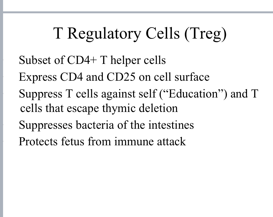 Solved T Regulatory Cells (Treg)Subset of CD4+ ﻿T helper | Chegg.com