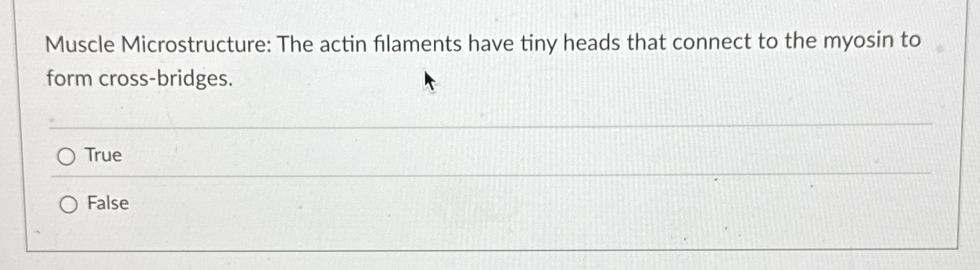 Solved Muscle Microstructure: The actin filaments have tiny | Chegg.com