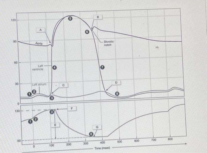 Solved what does the circle label "5" indicate on the graph? | Chegg.com