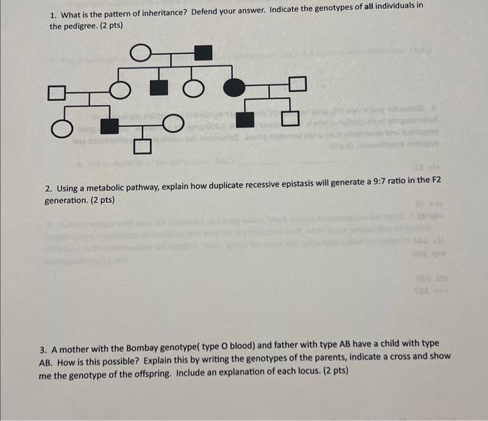 Solved 1. What is the pattern of inheritance? Defend your | Chegg.com