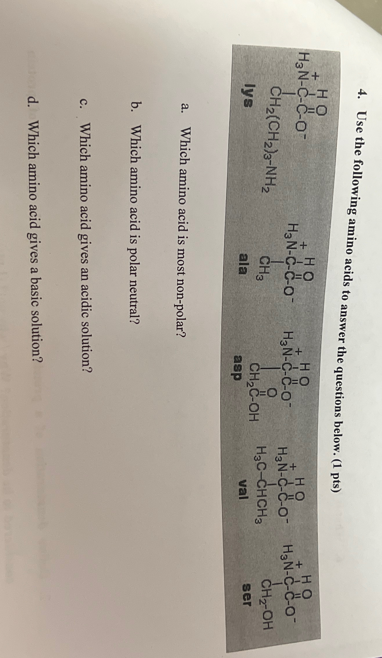 Solved Use the following amino acids to answer the questions | Chegg.com