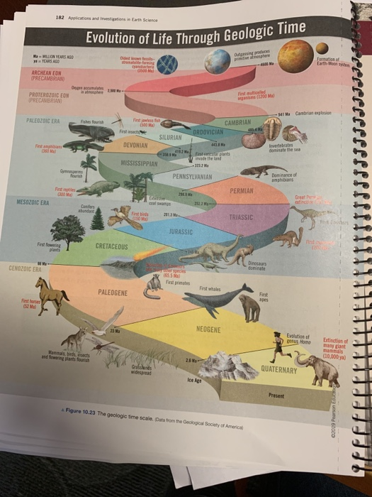 Solved: FOSSILS Our Textbook Defines Fossils As Remains Or... | Chegg.com