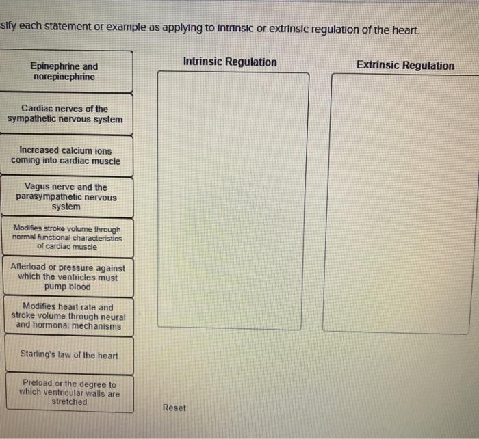 Solved sify each statement or example as applying to | Chegg.com