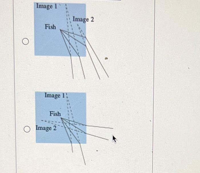 Solved If you look at a fish through the corner of a | Chegg.com