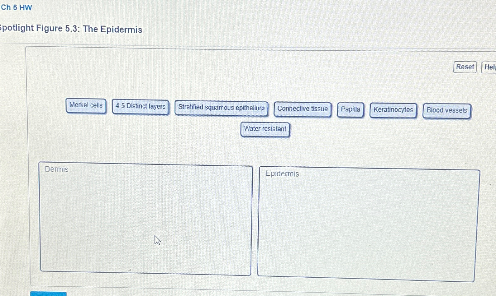 Solved Sort these characteristics into the correct error | Chegg.com